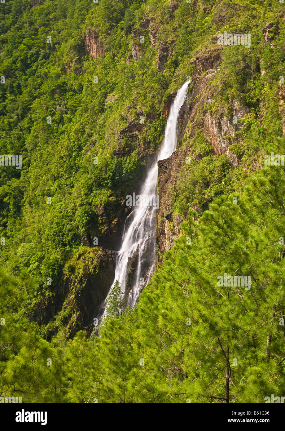 CAYO DISTRICT BELIZE Thousand Foot Falls in the lush Mountain Pine ...