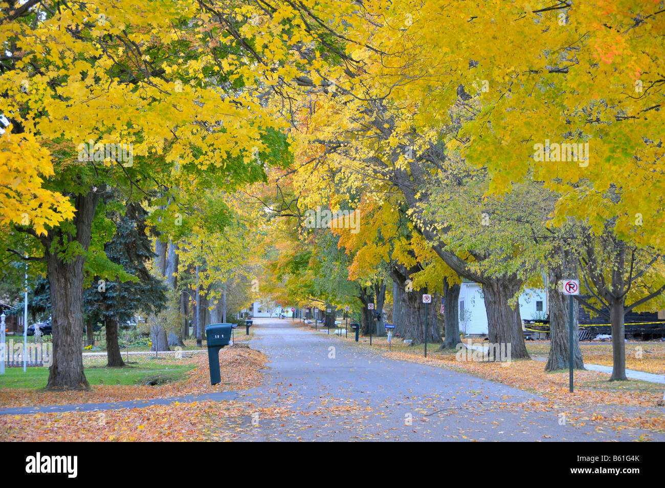 Neighborhood street with fall colors Stock Photo - Alamy