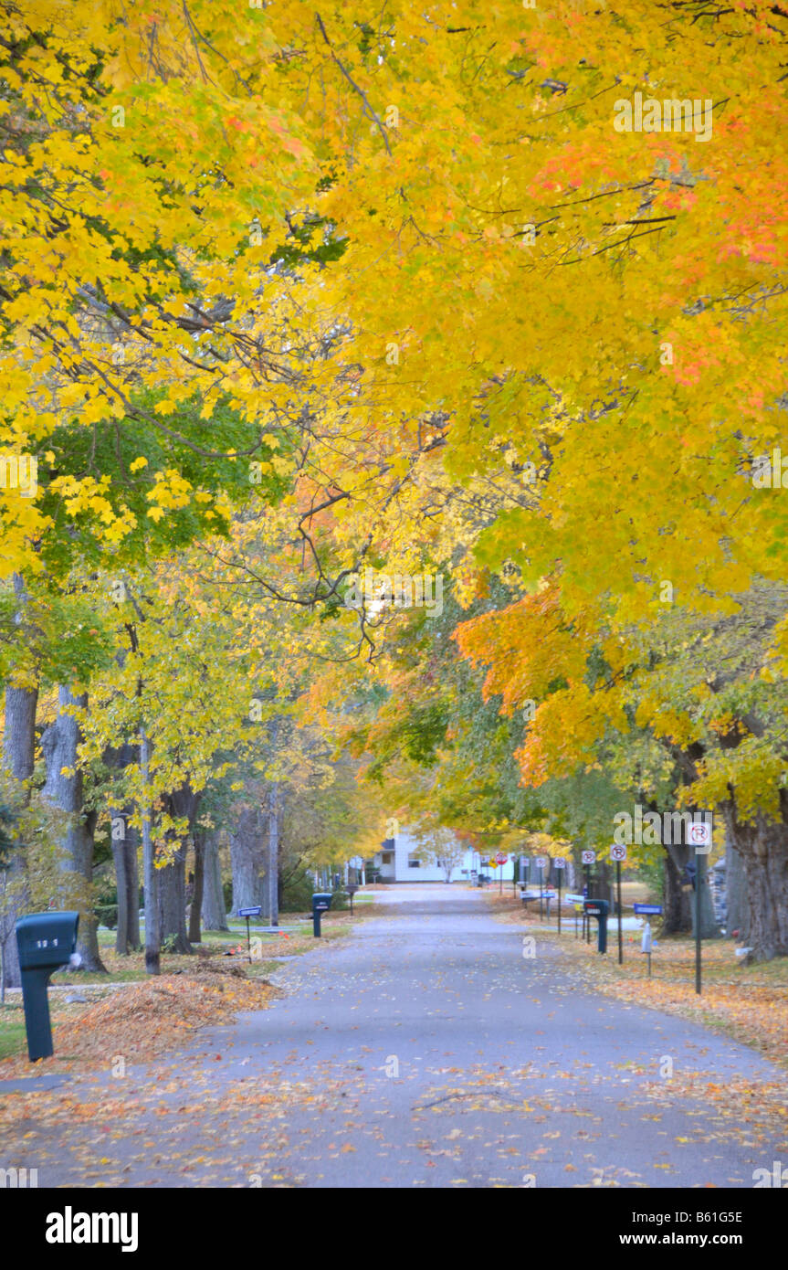 Row sequence tree hi-res stock photography and images - Alamy