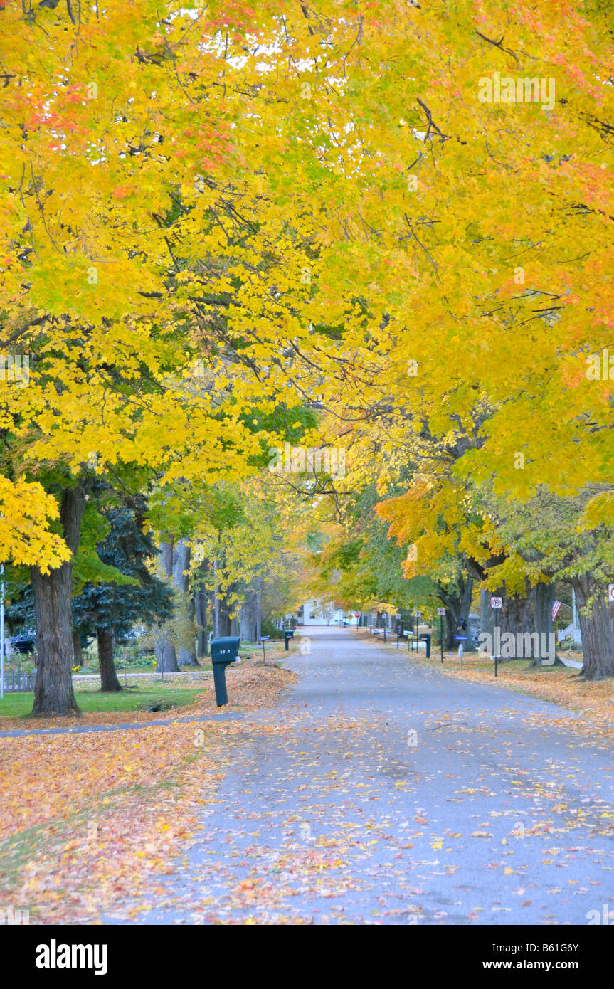 Neighborhood street with fall colors Stock Photo - Alamy