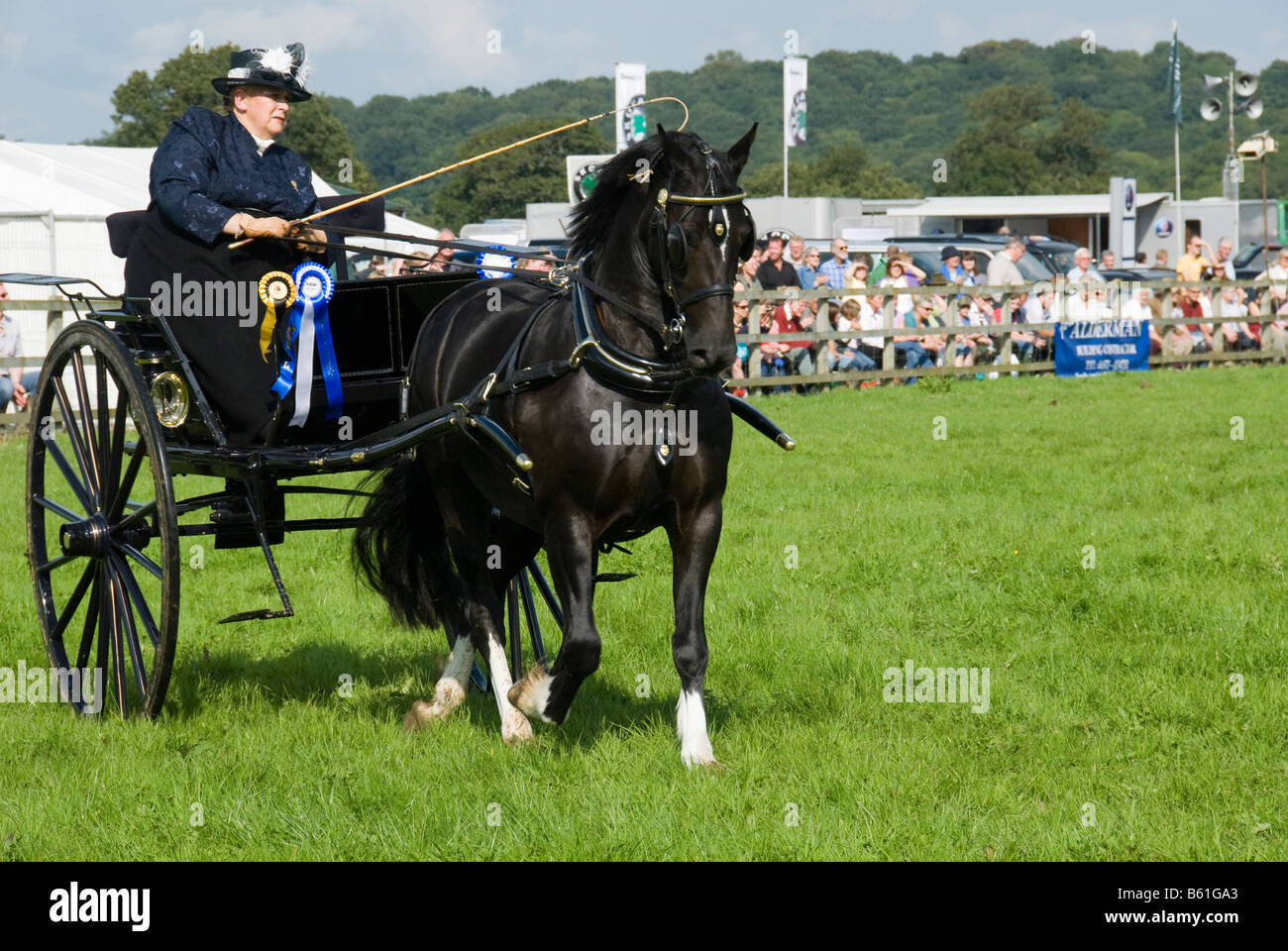 Pony and trap racing hi-res stock photography and images - Alamy