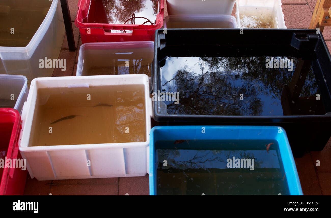 Collecting water in containers for home use during a drought Stock ...