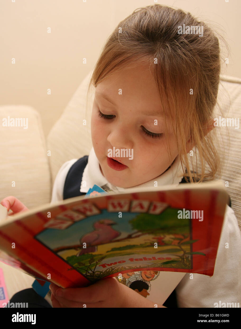 5 year old child reading at home as part of her homework from school ...