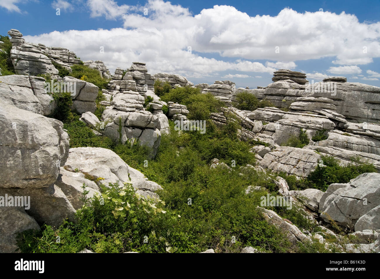 Malaga costa del sol spain landscape natural park Stock Photo - Alamy