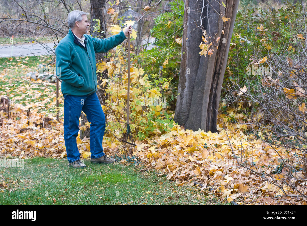 Man taking a break while raking leaves Stock Photo - Alamy