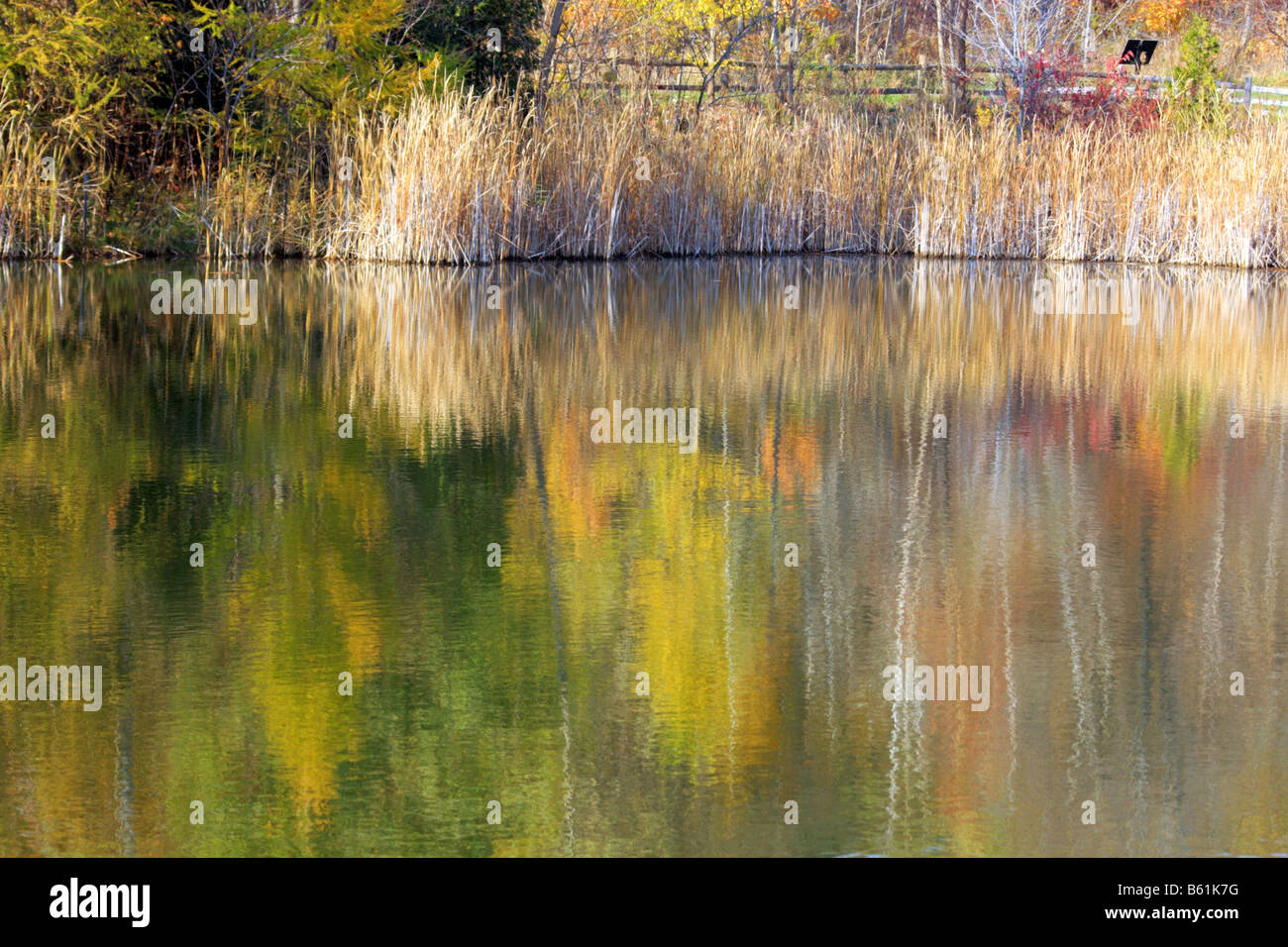 Autumn colors in Don Valley Brickworks conservation area Stock Photo ...