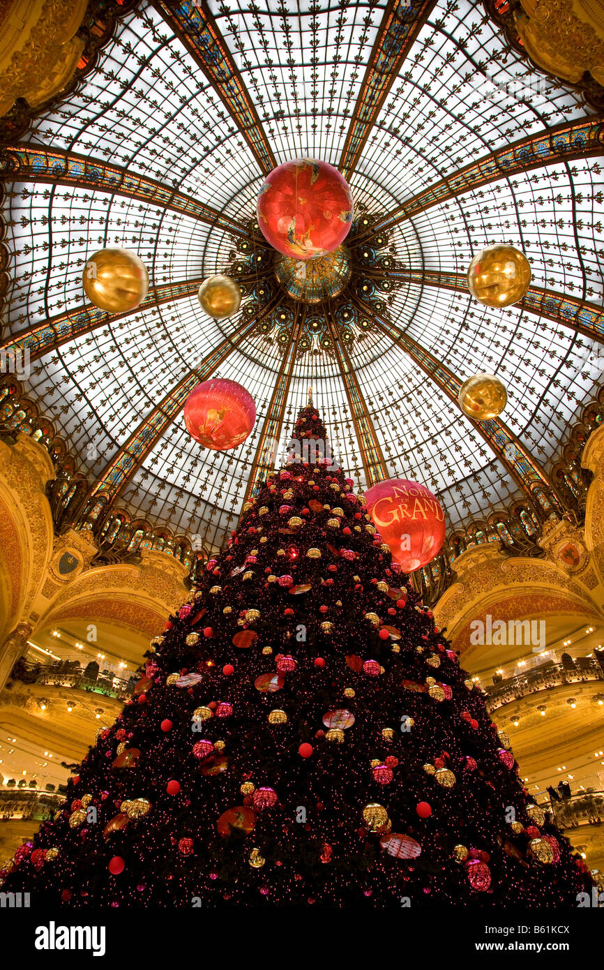 Tree book cover hi-res stock photography and images - Alamy