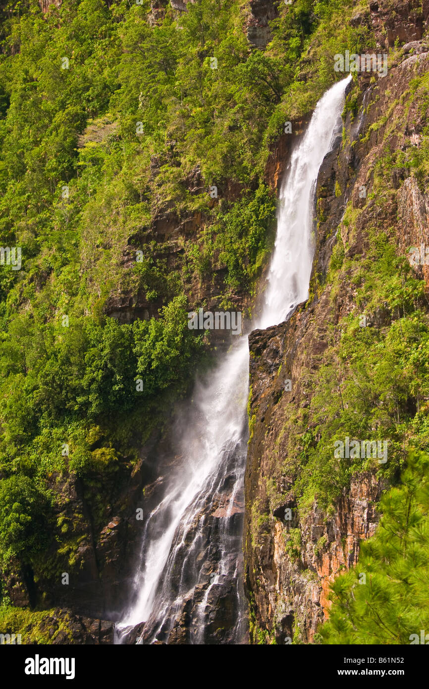 CAYO DISTRICT BELIZE Thousand Foot Falls in the lush Mountain Pine ...