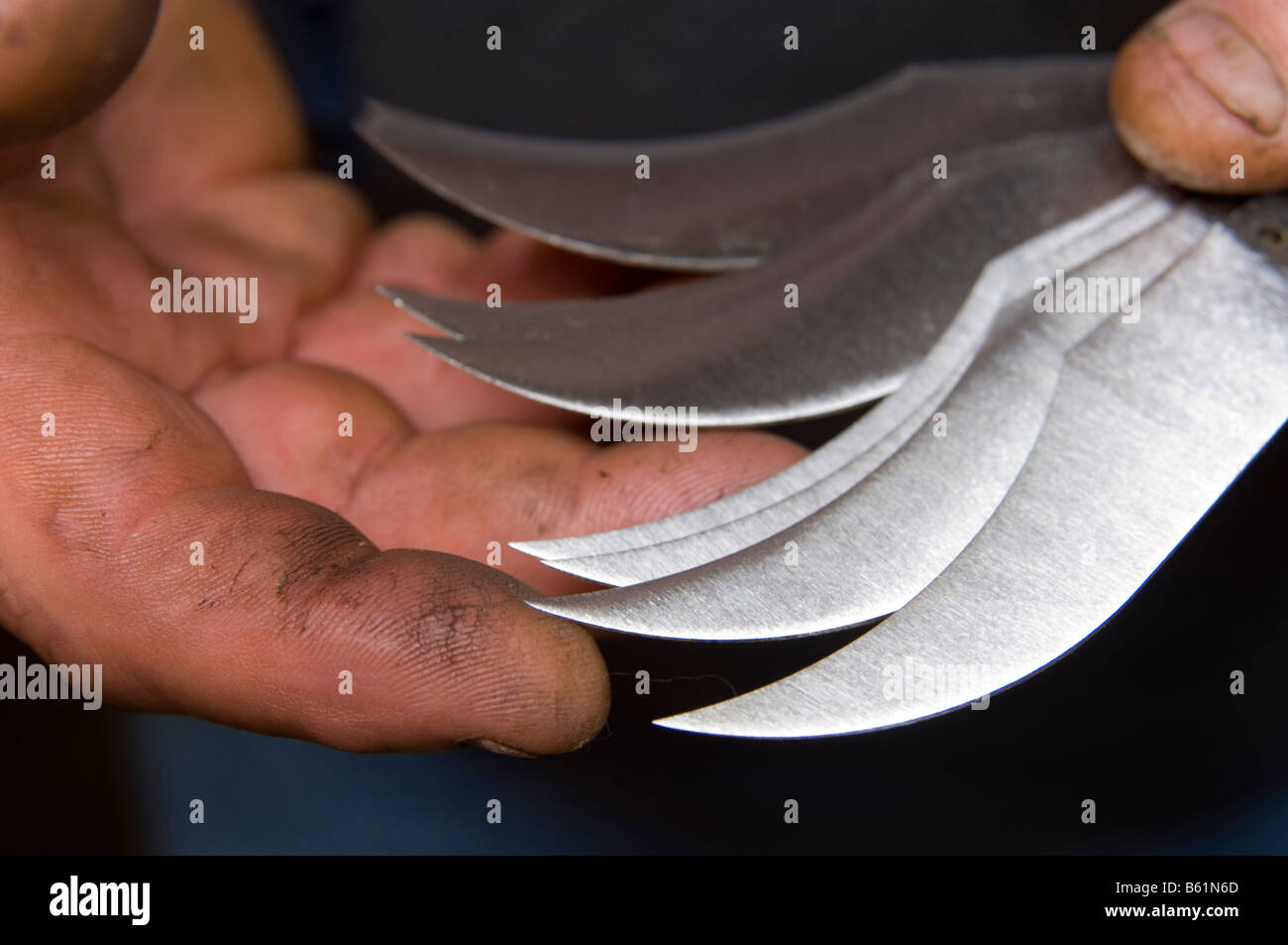 Brian cutler hi-res stock photography and images - Alamy