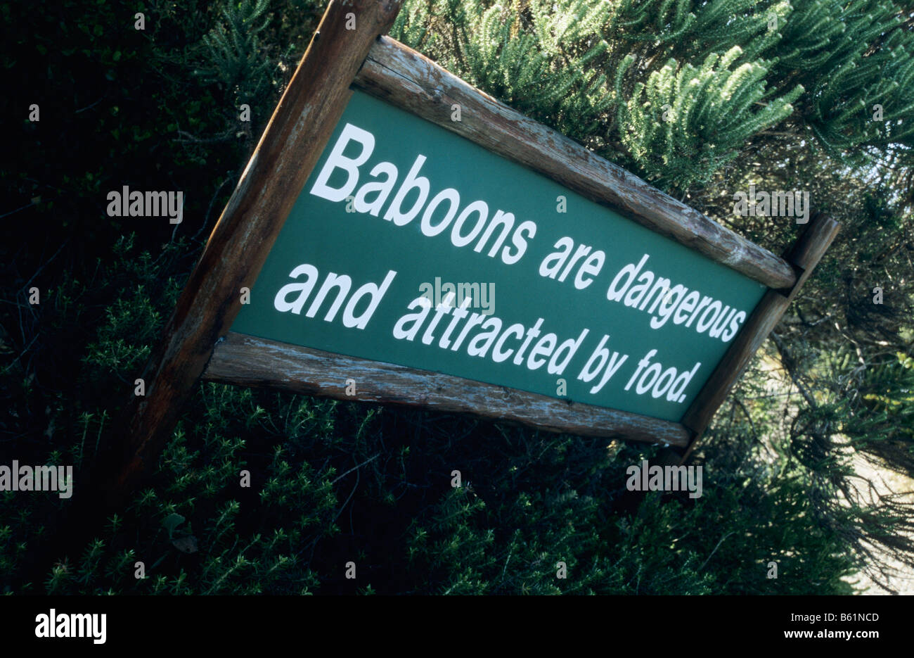 Animal behaviour, warning sign, Baboons are dangerous and attracted ...