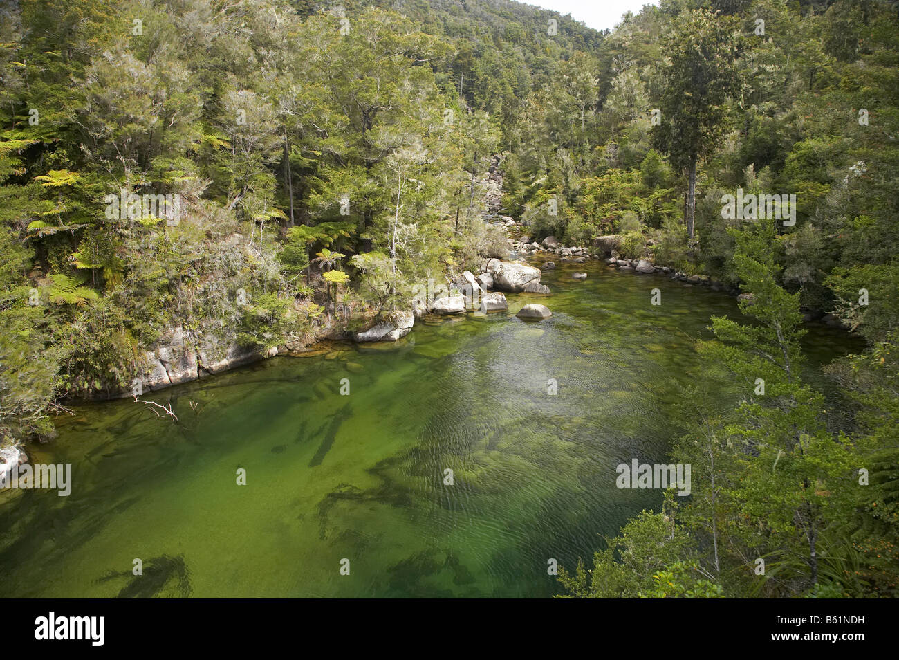 Falls River Abel Tasman Coastal Track Abel Tasman National Park Nelson ...