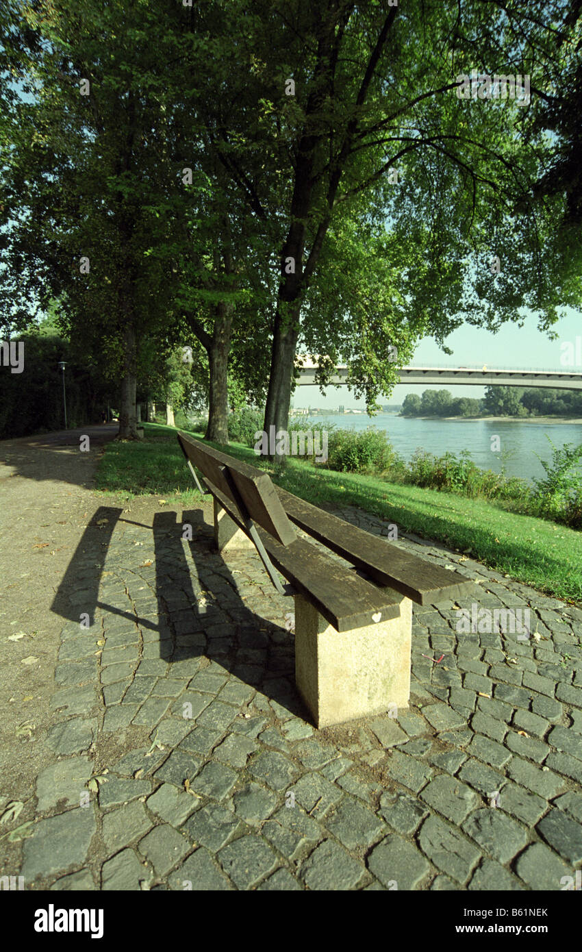 Beautiful landscape, park bench, river Rhine, Speyer, Germany, path ...