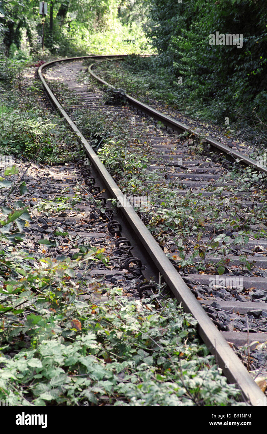 Railway track in forest, train tracks making turn in distance ...