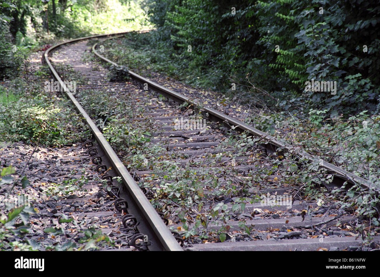Railway track in forest, train tracks making turning in distance ...