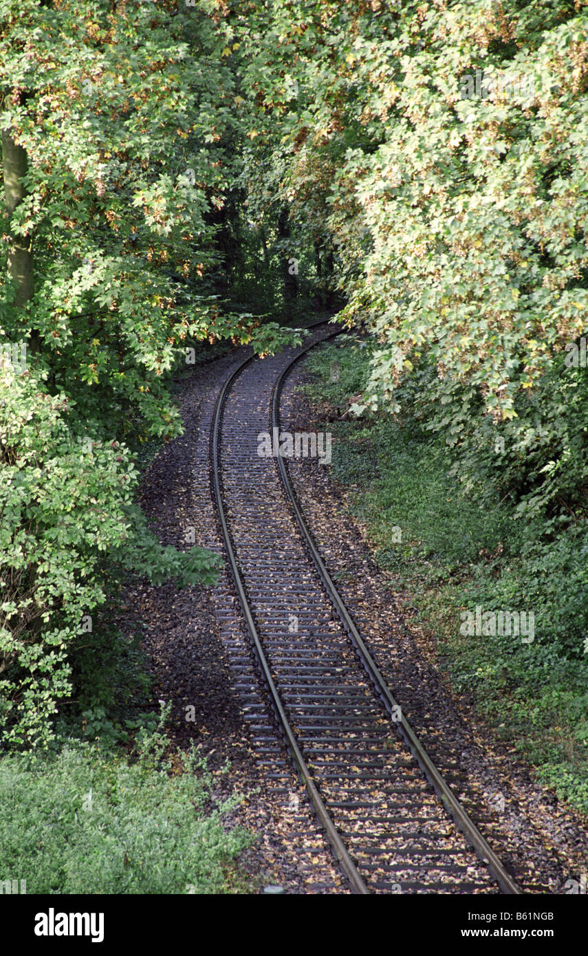 Railway track in forest Stock Photo - Alamy