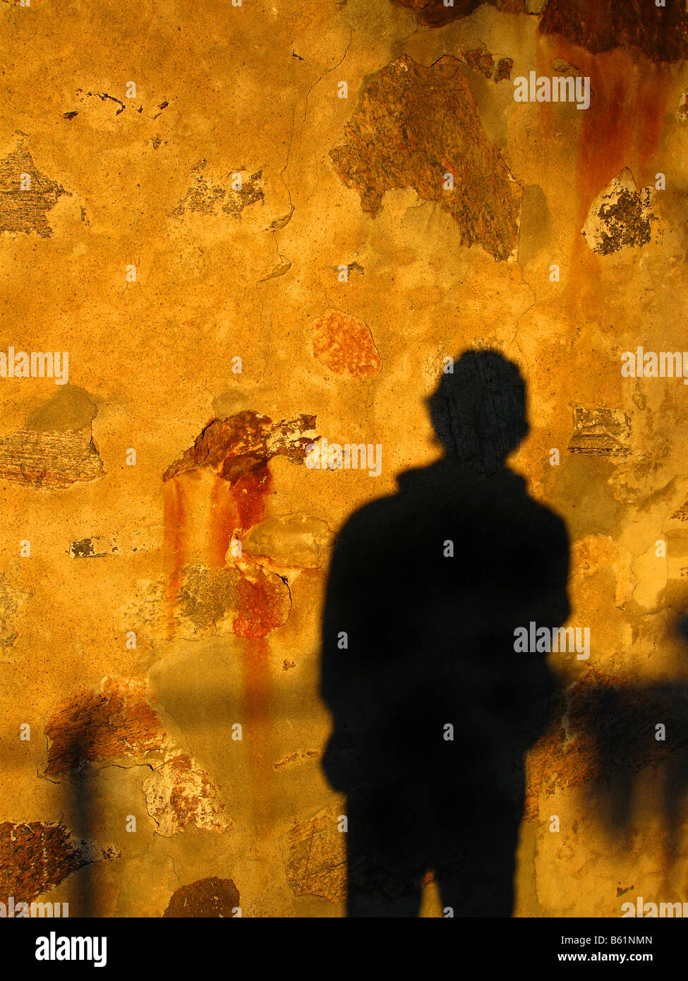 Edwards gardens toronto hi-res stock photography and images - Alamy