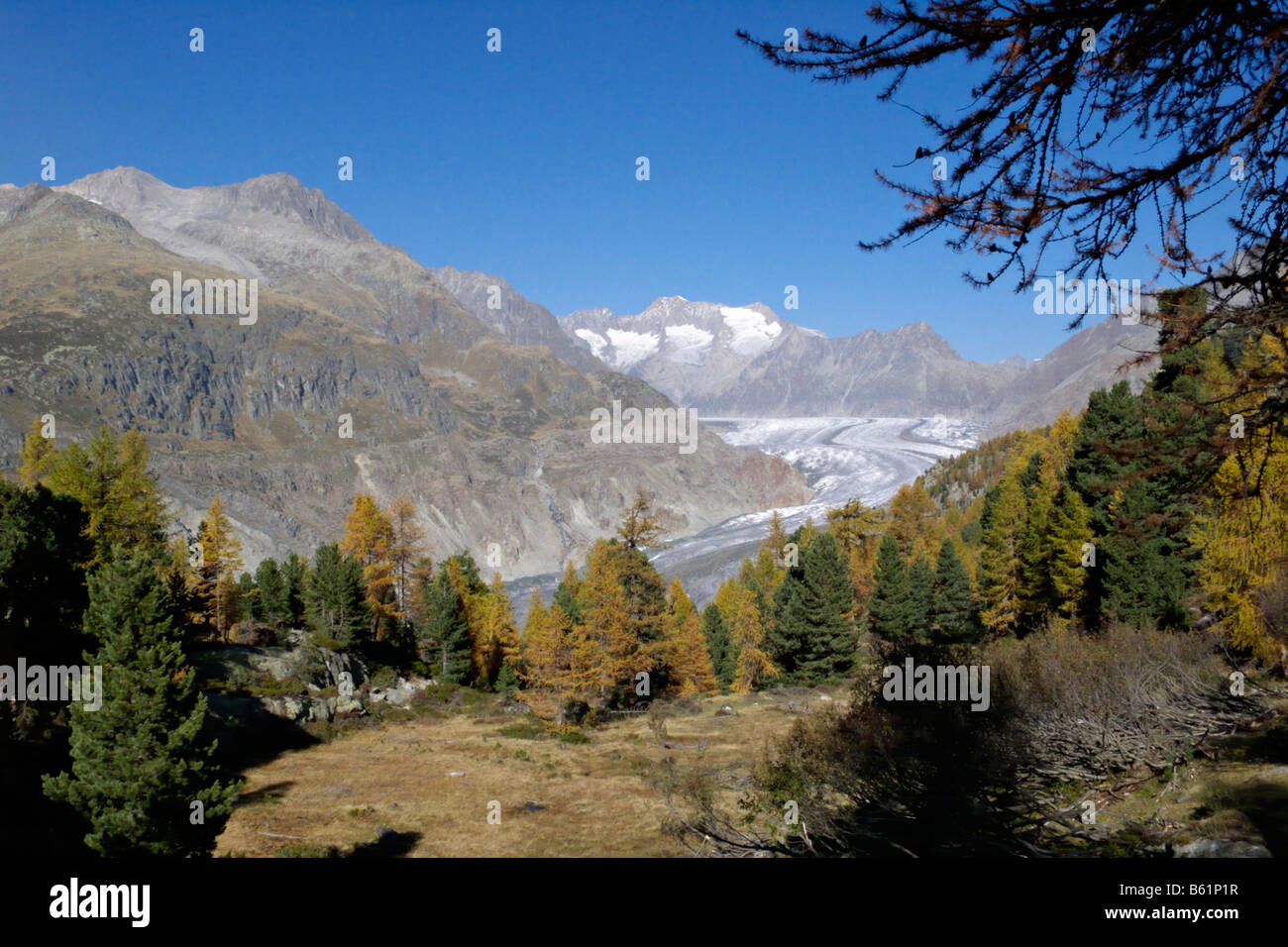 Glacier protection hi-res stock photography and images - Alamy