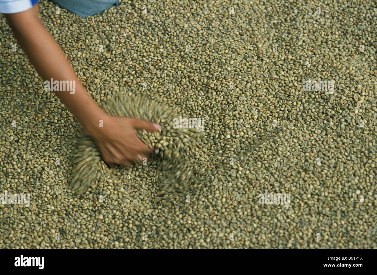 Final checking hi-res stock photography and images - Alamy