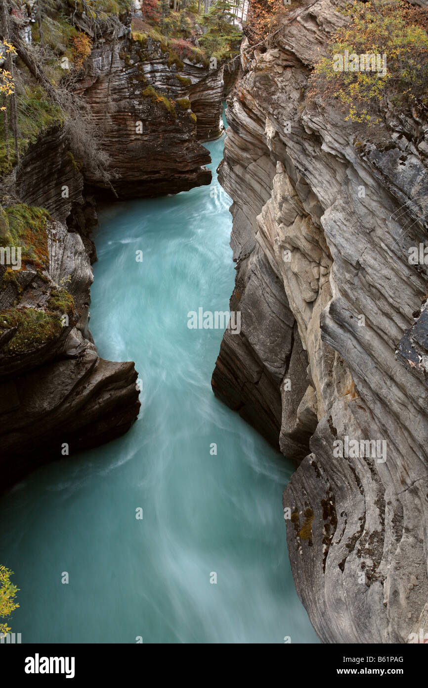 Gorge at Athabasca Falls in Jasper National Park Stock Photo - Alamy