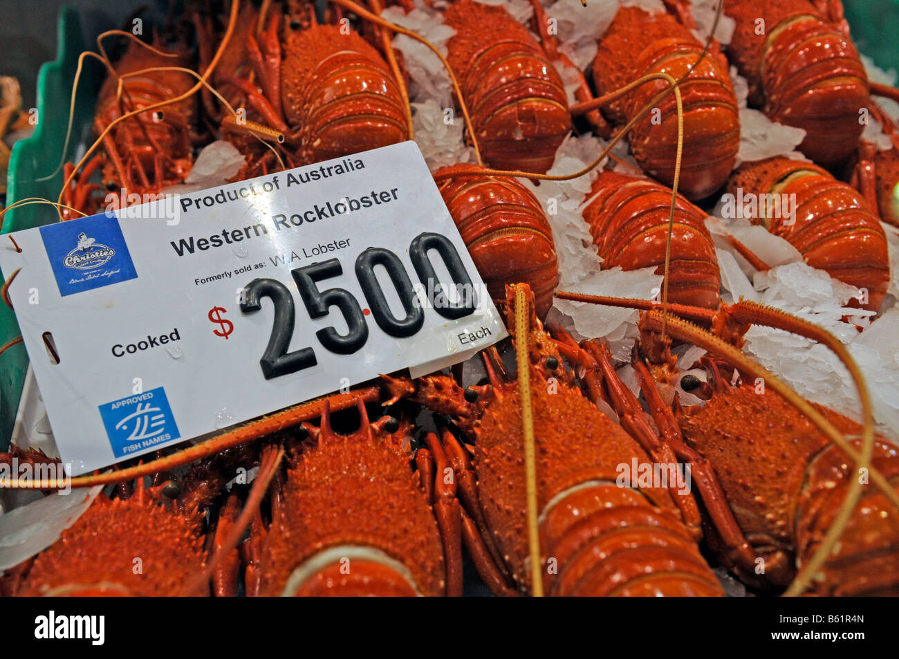 Fresh crayfish, fish market, Sydney, Australia Stock Photo - Alamy
