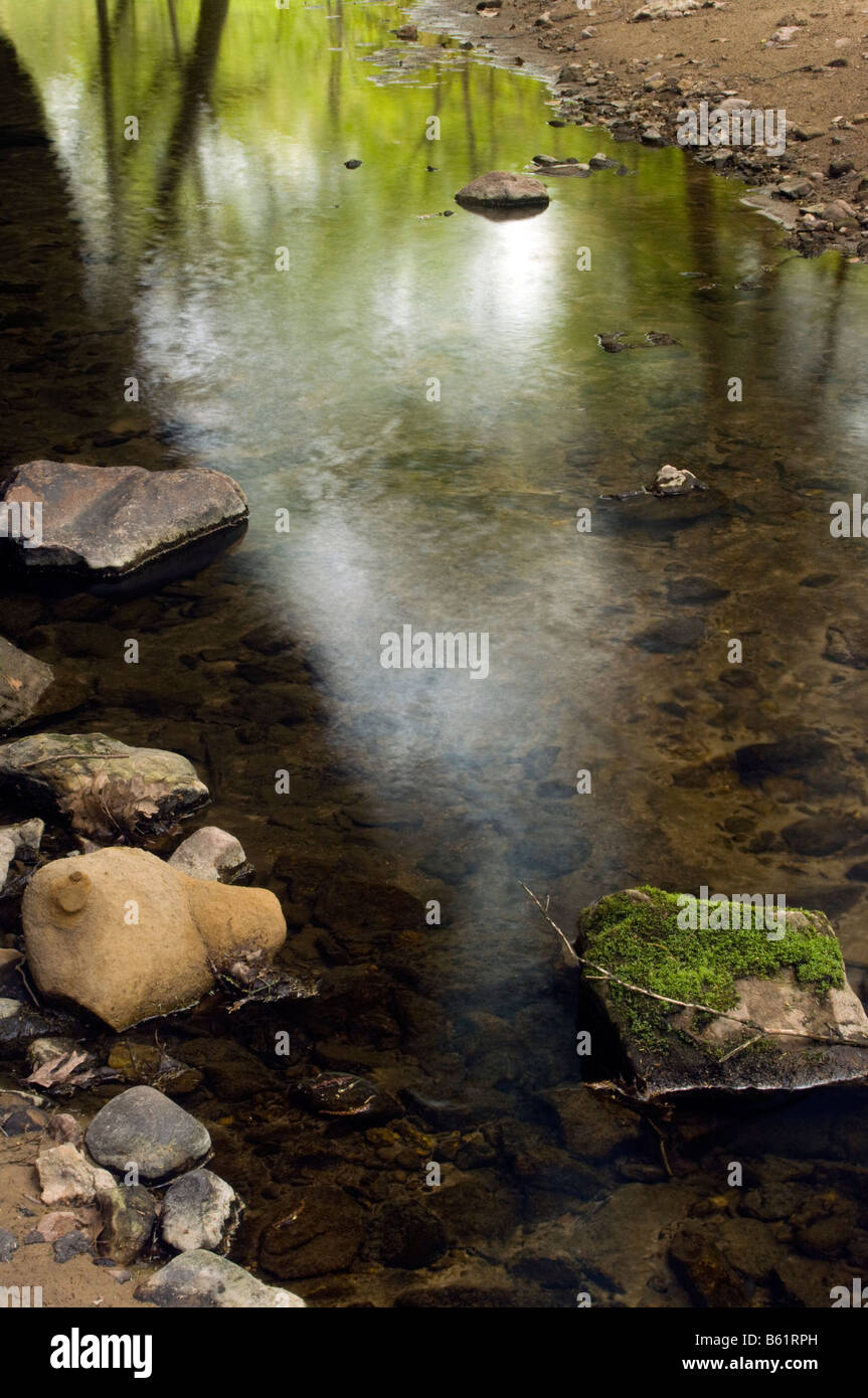 Reflection in stream, Hemlock Draw, Sauk County, Wisconsin Stock Photo ...