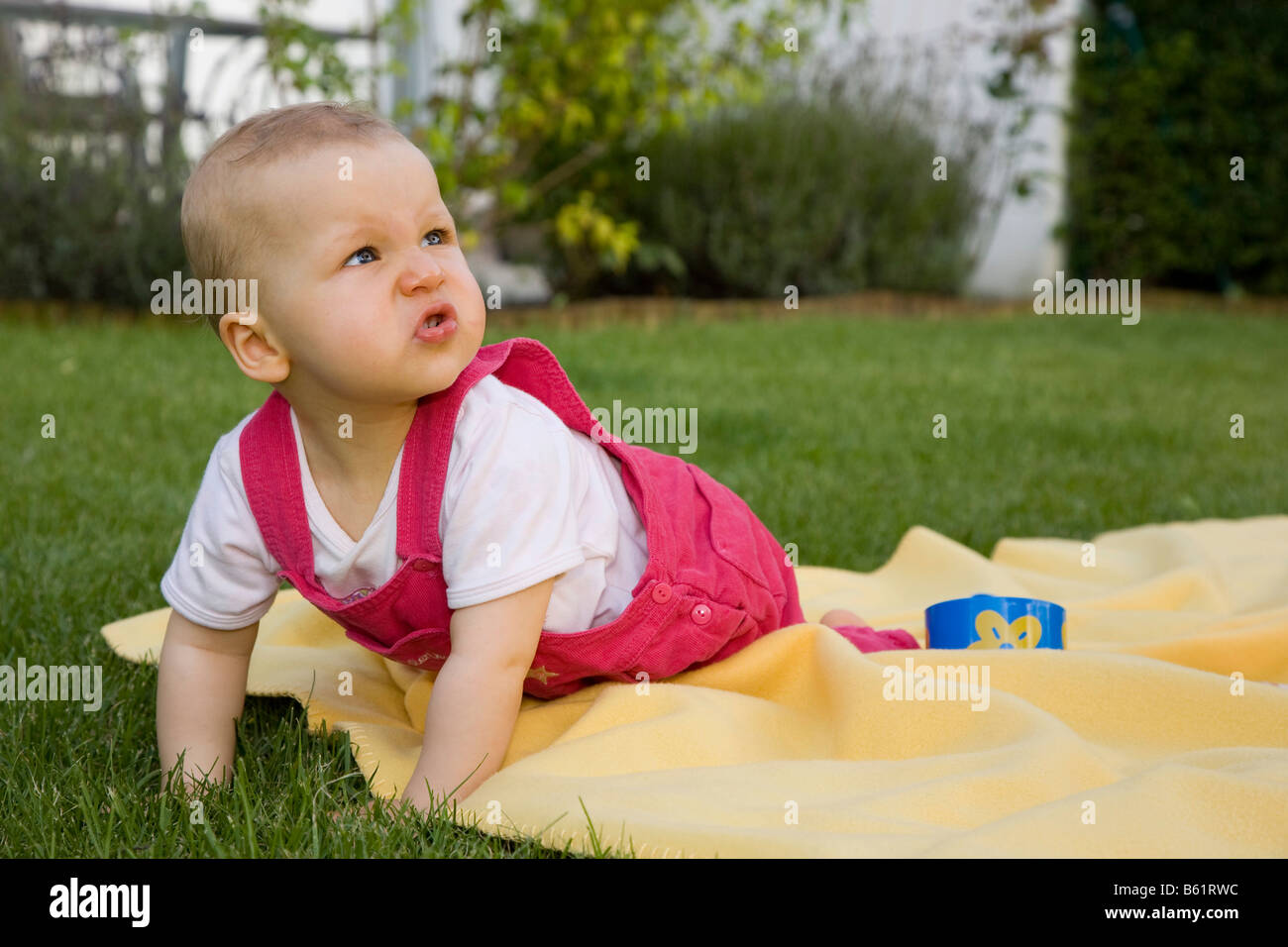 Krabbelndes hi-res stock photography and images - Alamy