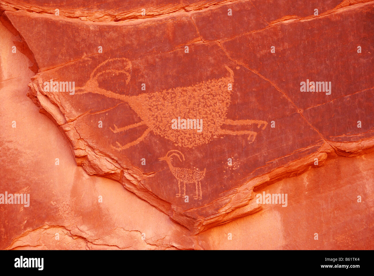 Cayenta hi-res stock photography and images - Alamy