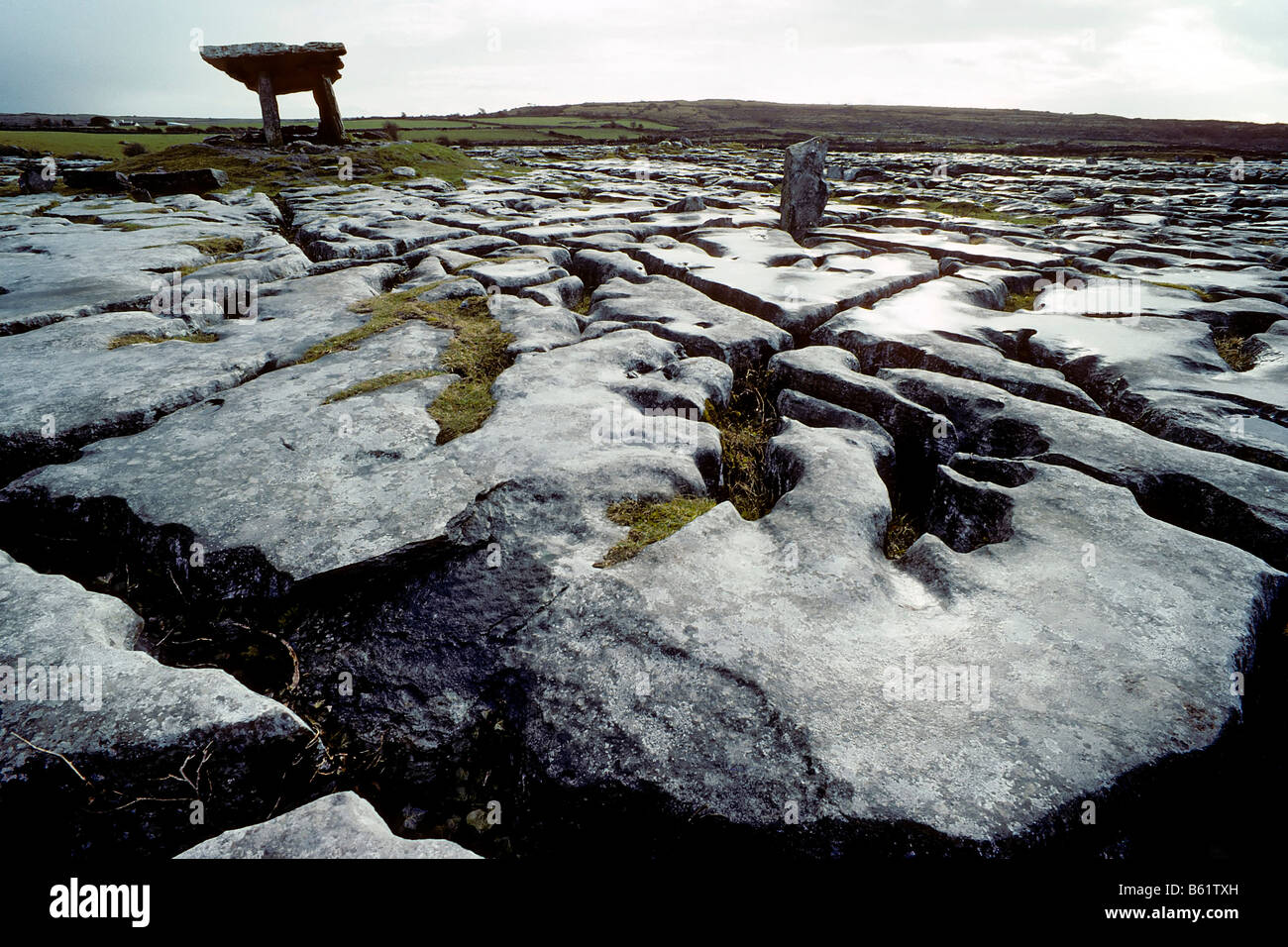Burren, rock landscape, bizarrely formed limestone slabs, National Park ...