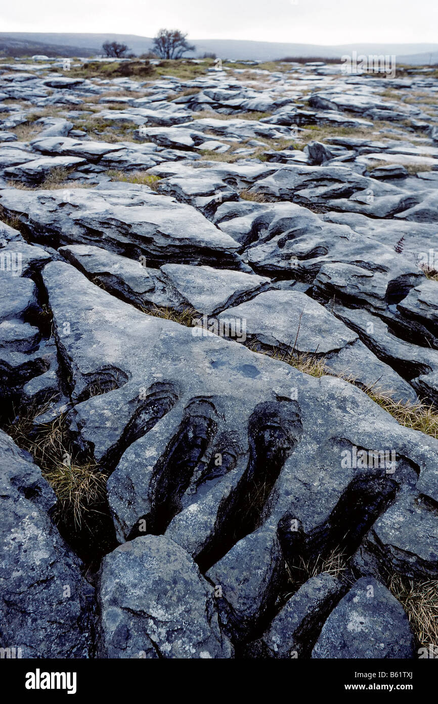 Burren, rock landscape, bizarrely formed limestone slabs, National Park ...