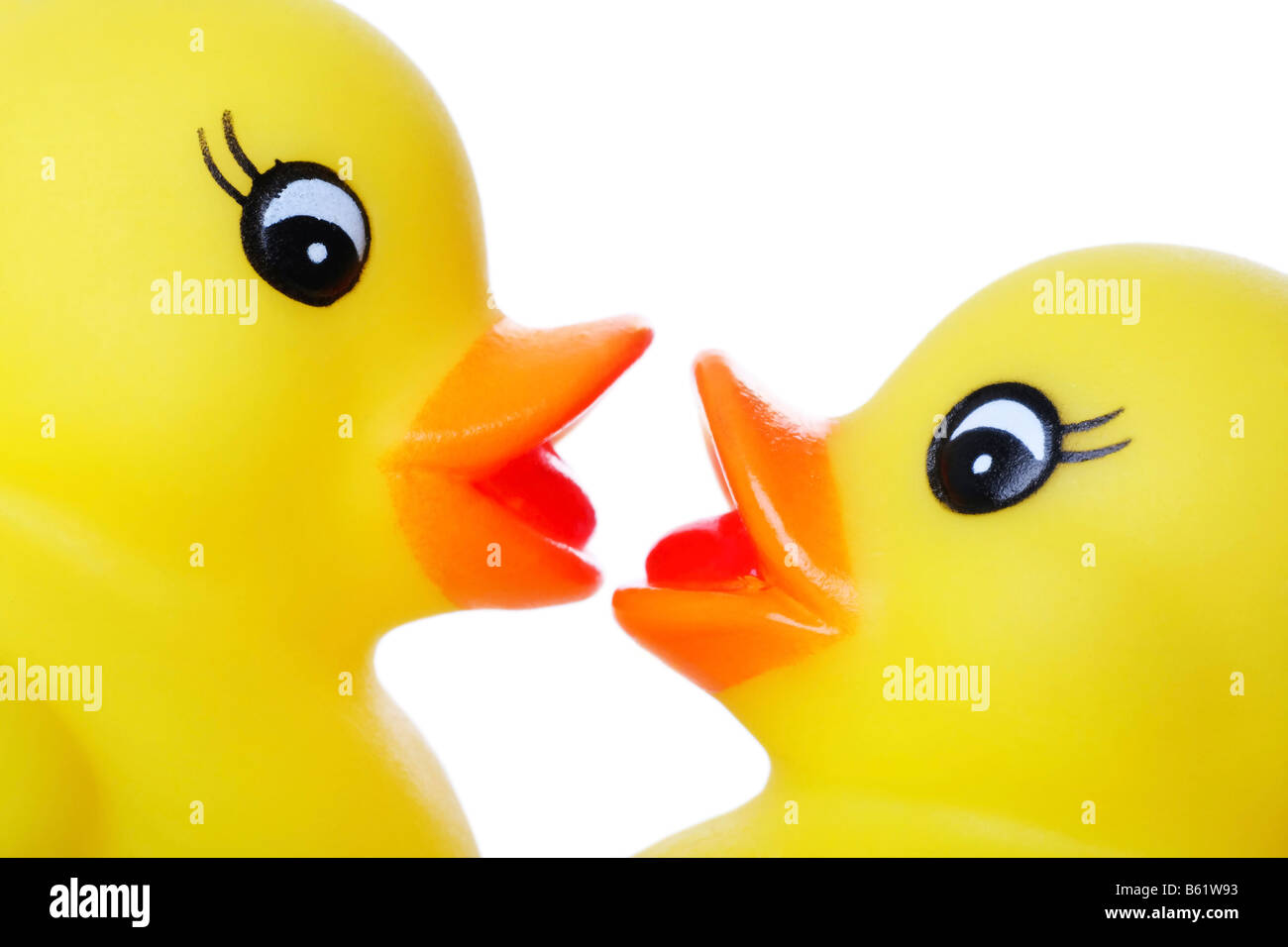 talking ducks focus is on the eyes Stock Photo - Alamy