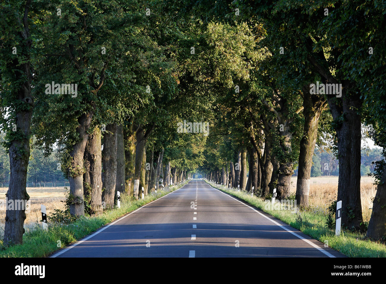 Deutsche alleestrasse hi-res stock photography and images - Alamy