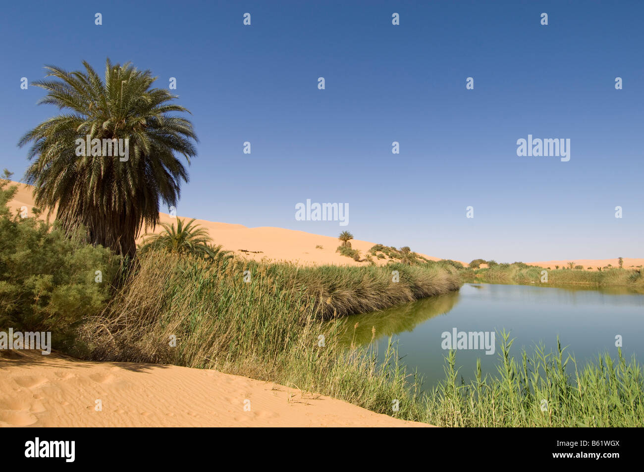 Mafu lake Erg Awbari Sahara desert Fezzan Libya Stock Photo - Alamy