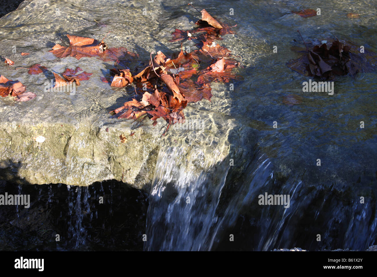 A manmade rock ledge waterfall with red fall leaves that have ...