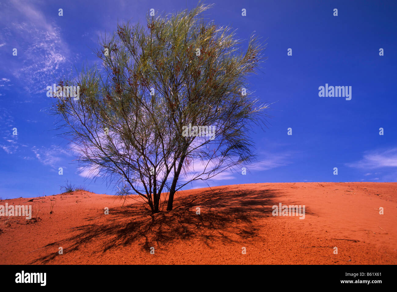 Red Centre, Northern Territory, Australia Stock Photo - Alamy