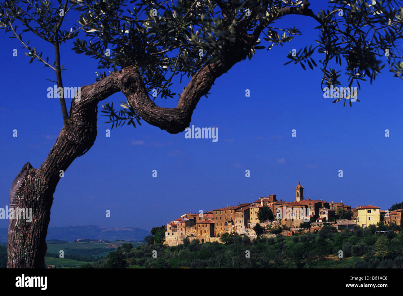 Castelmuzio, Tuscany, Italy, Europe Stock Photo - Alamy