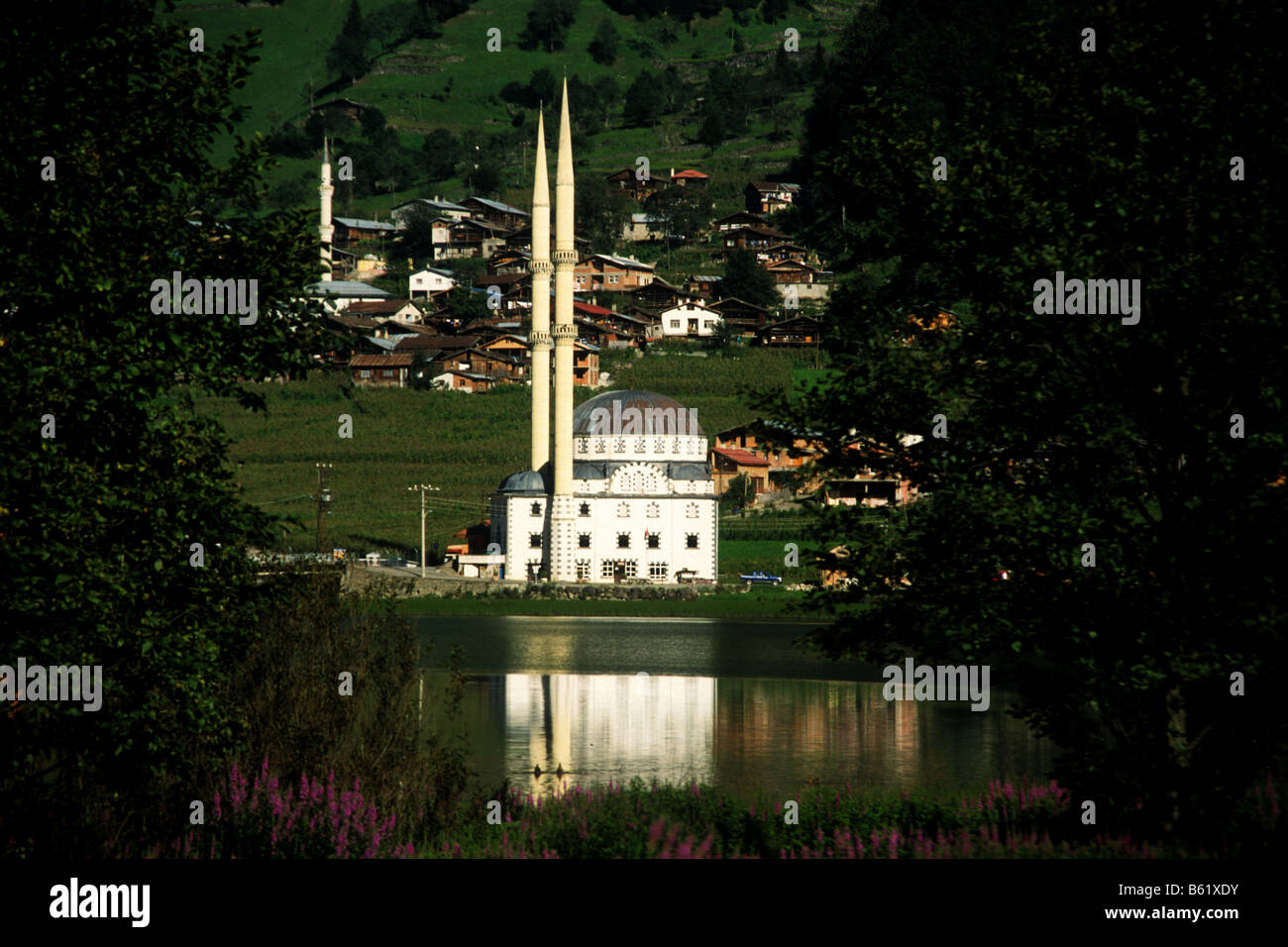 Cami Lake High Resolution Stock Photography and Images - Alamy