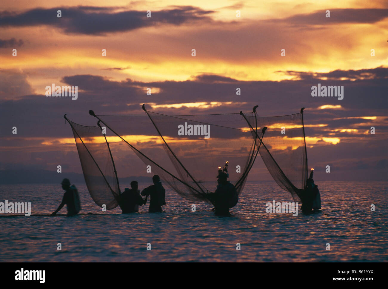 Shrimp fishermen with push nets at sunset Stock Photo - Alamy