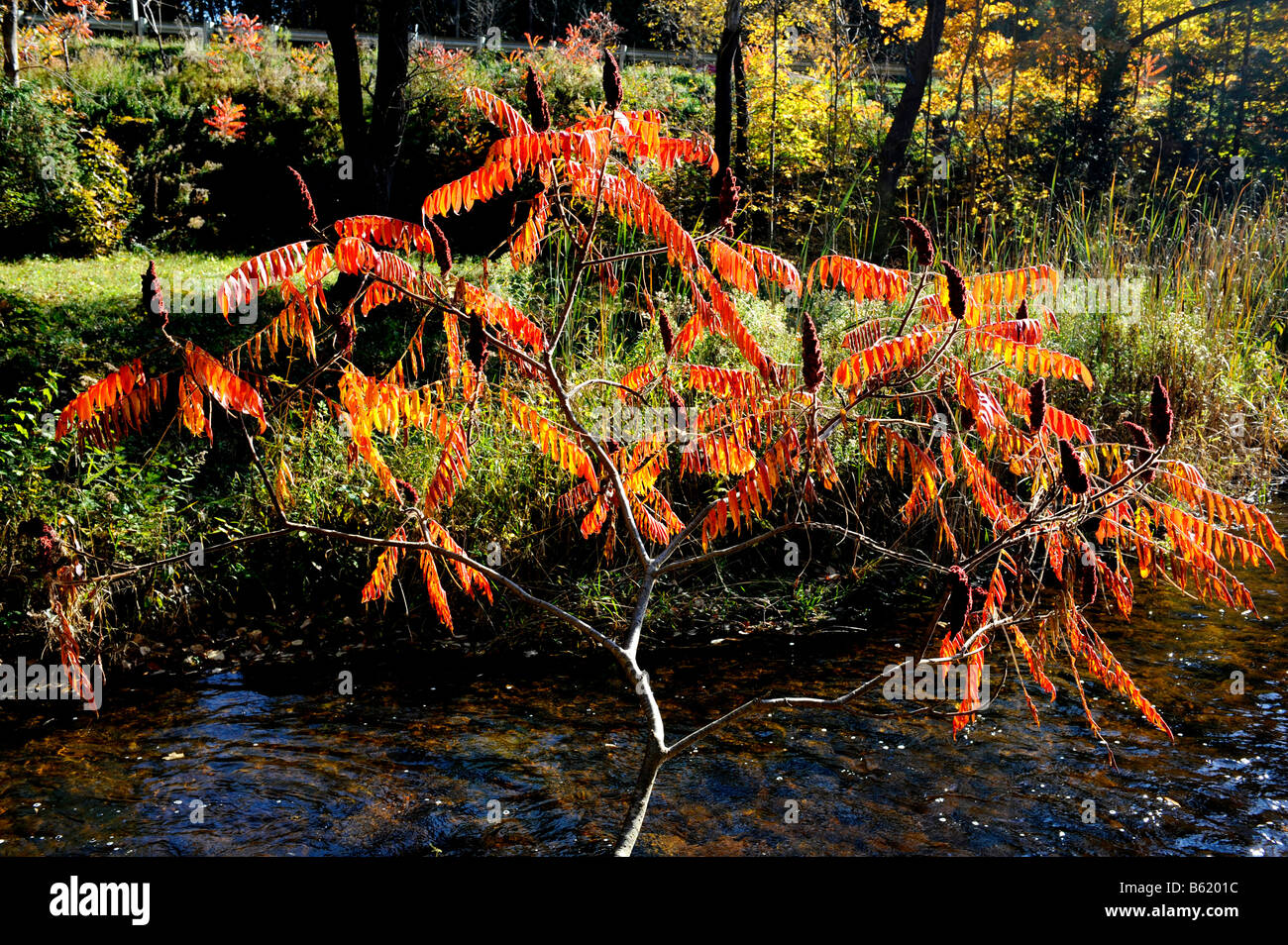 Canada during hi-res stock photography and images - Alamy