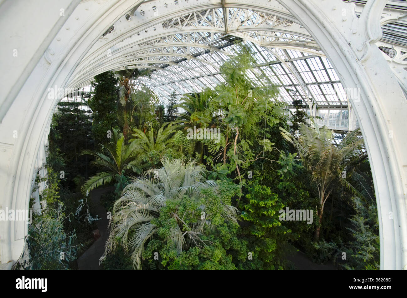 Interior of the Temperate House in Kew Gardens London England UK Stock ...
