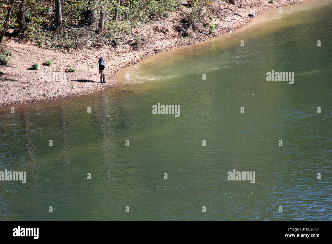 A fly Fisherman on the bank of Lake Taneycomo that flows downstream ...