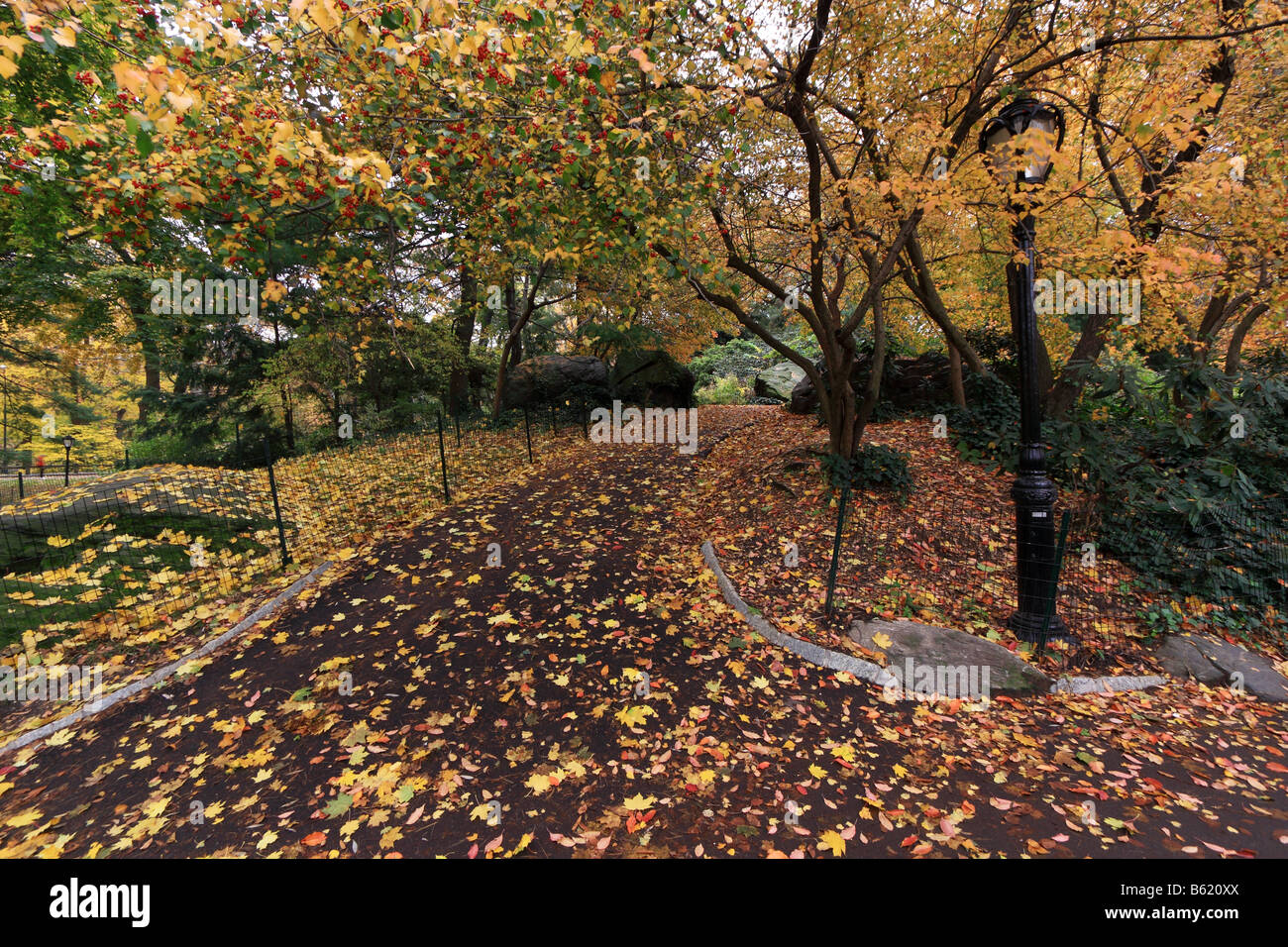 Pathway up a side walk in Central Park in Autumn after a fall rain ...