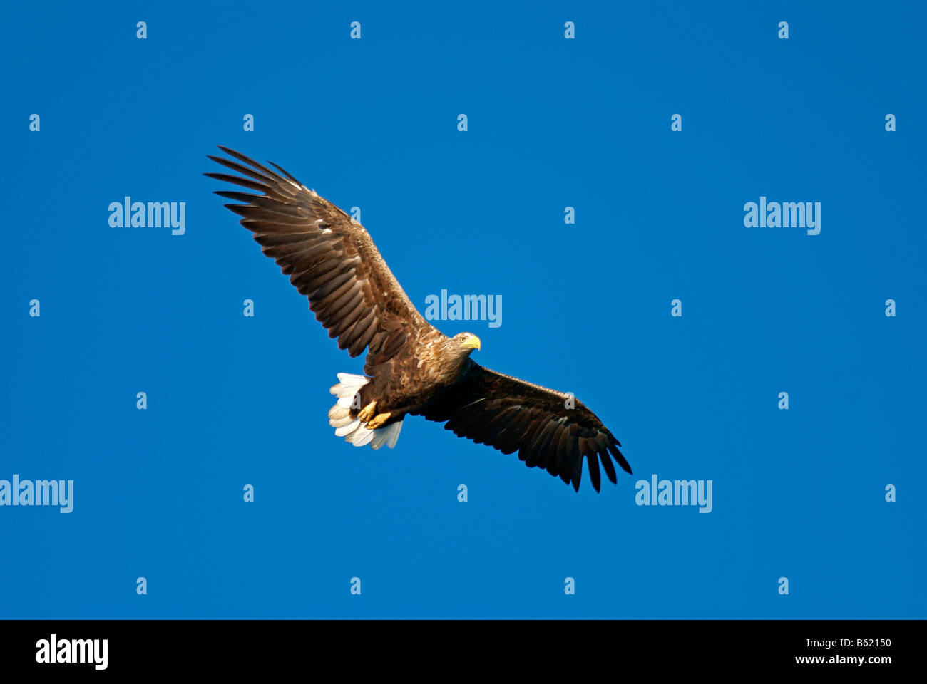 See erne hi-res stock photography and images - Alamy