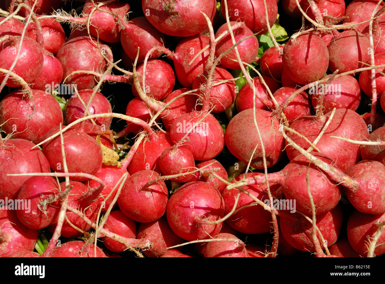 Food picture of radishes hi-res stock photography and images - Alamy