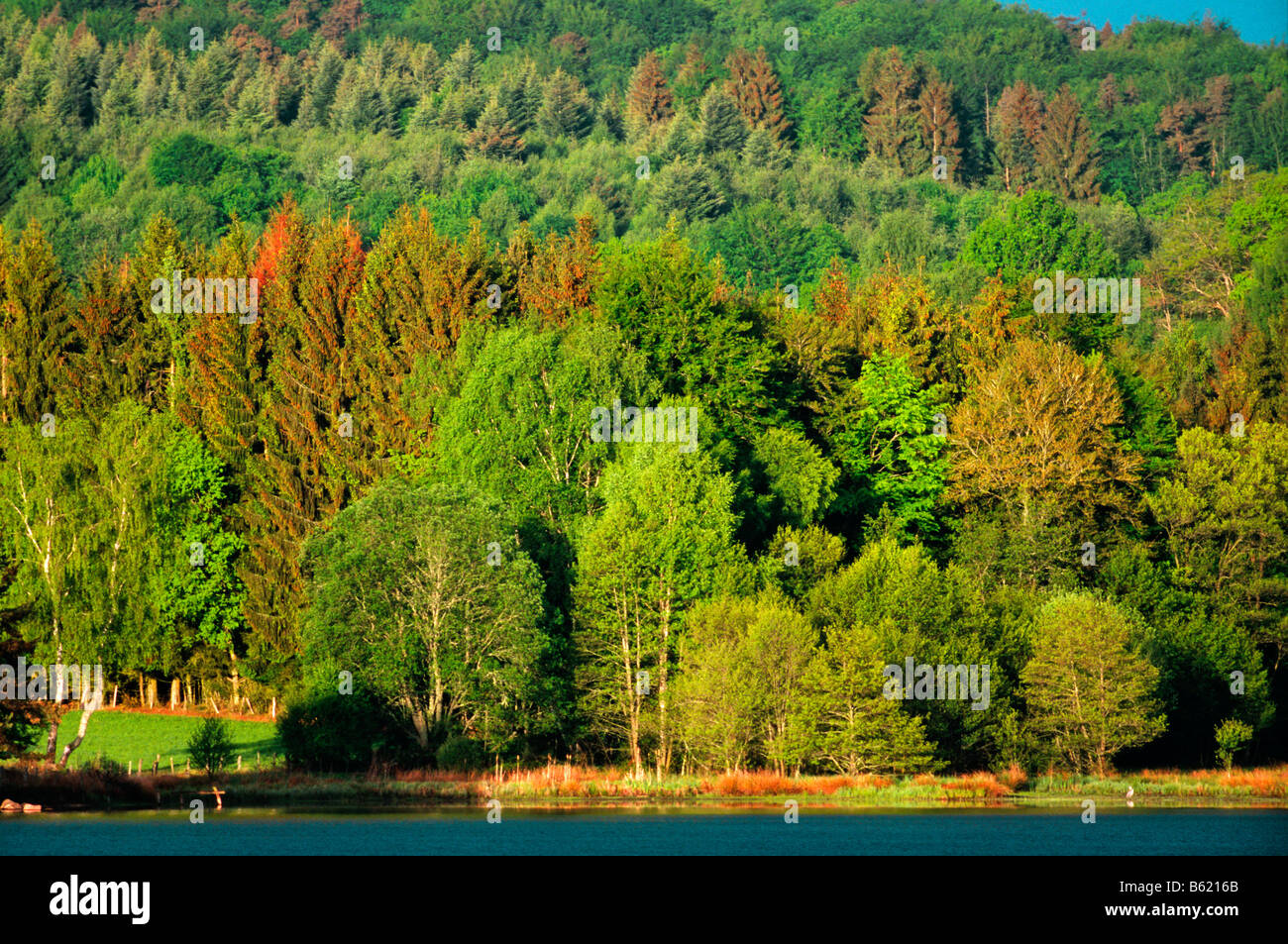 TY POND PUY DE DOME AUVERGNE FRANCE Stock Photo - Alamy