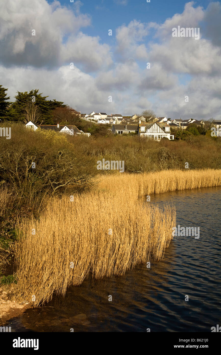Swanpool lake hi-res stock photography and images - Alamy