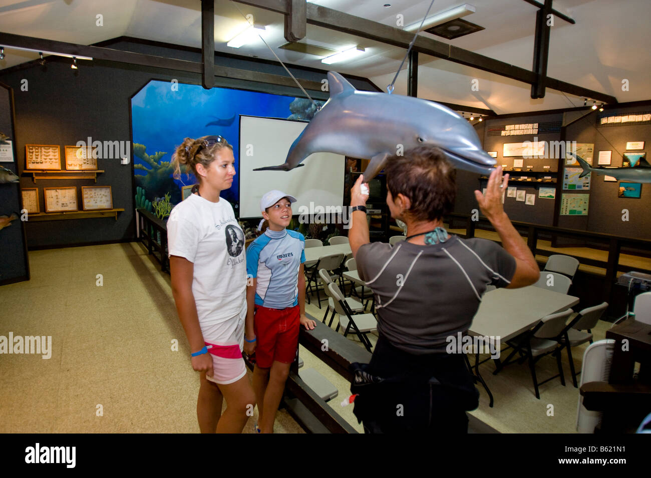 Pupils in the dolphin museum, lesson about dealing with sharks and ...