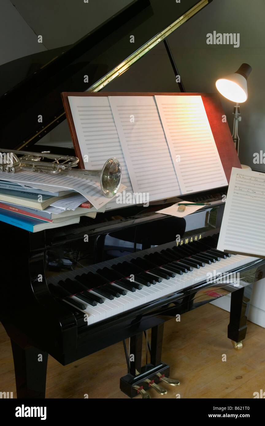 Studip hi-res stock photography and images - Alamy