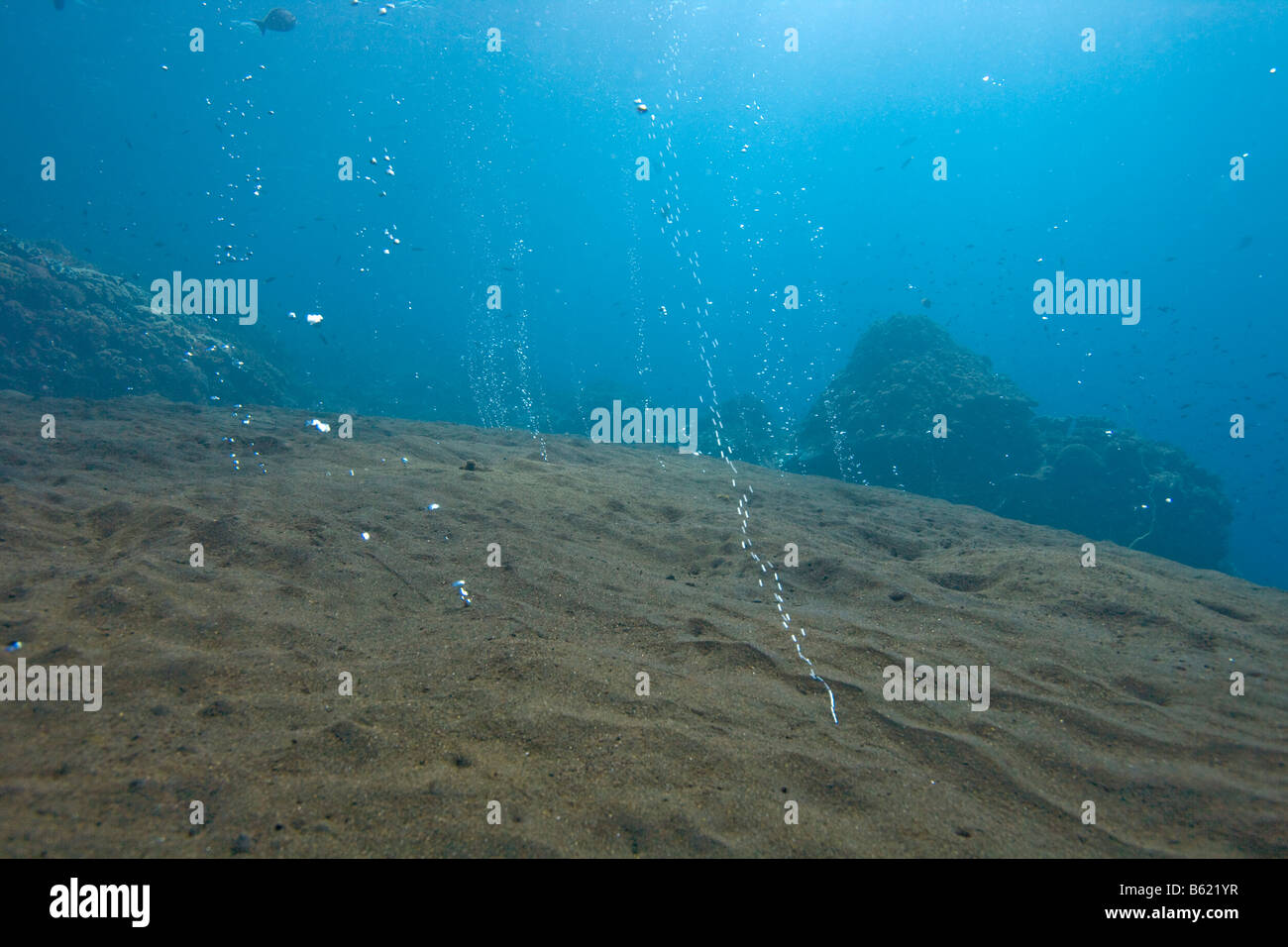 Volcanic gas bubbles, rising from the hot sea floor, volcanic island ...