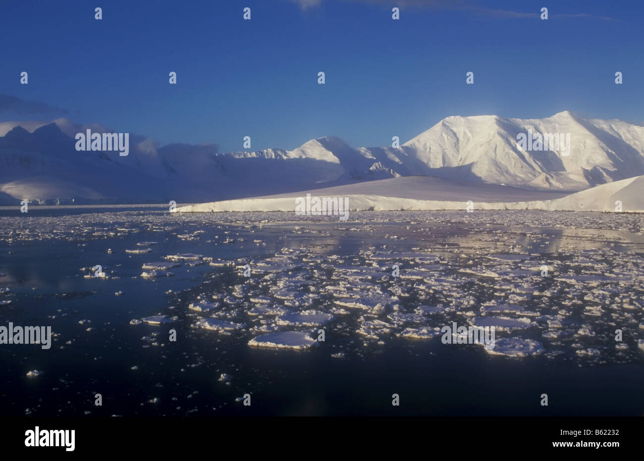 Antarctica panoramic view melting iceberg hi-res stock photography and ...