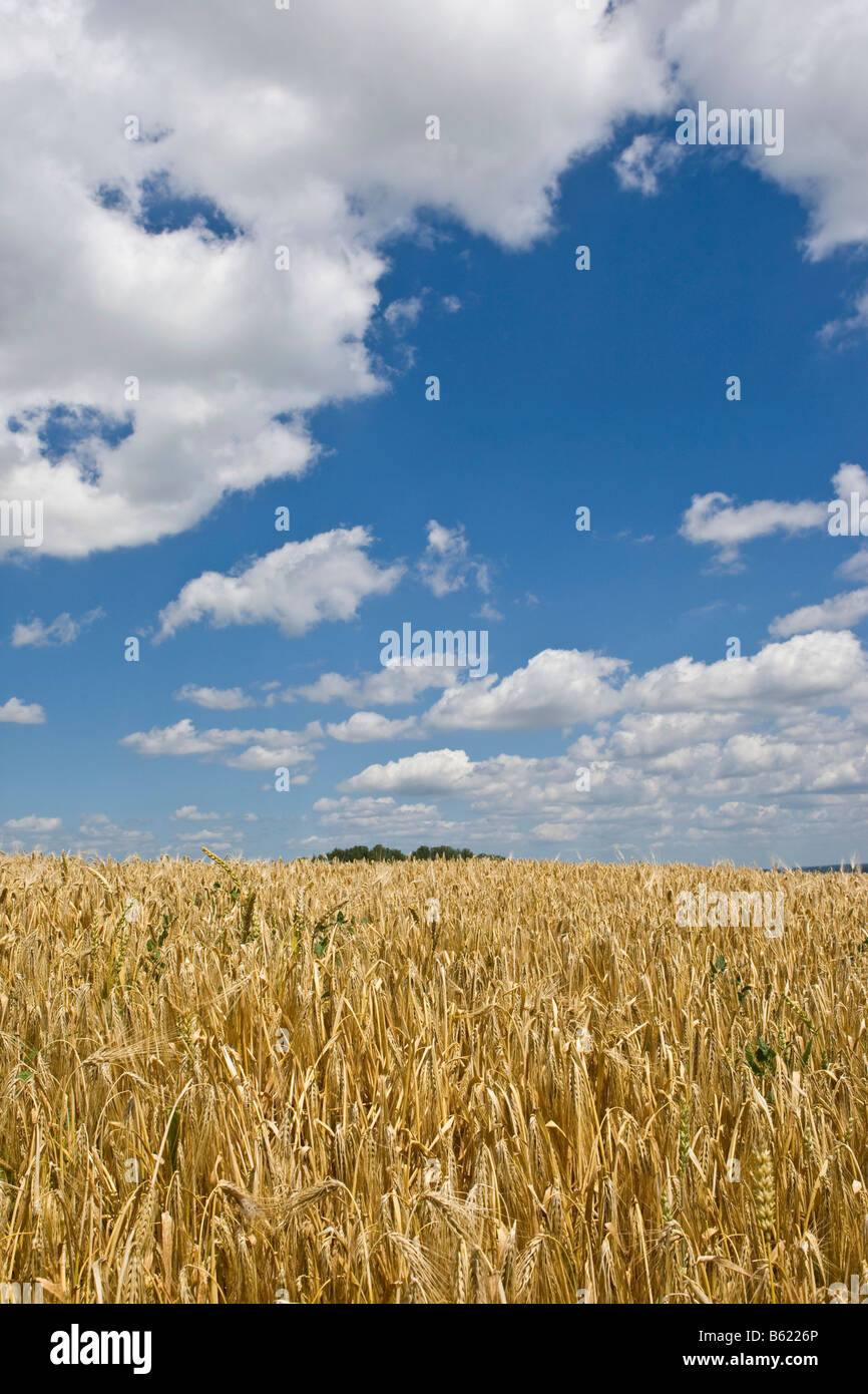 Granery hi-res stock photography and images - Alamy
